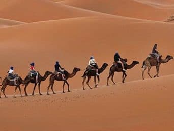 Abu Dhabi City Tour - Desert Safari UAE