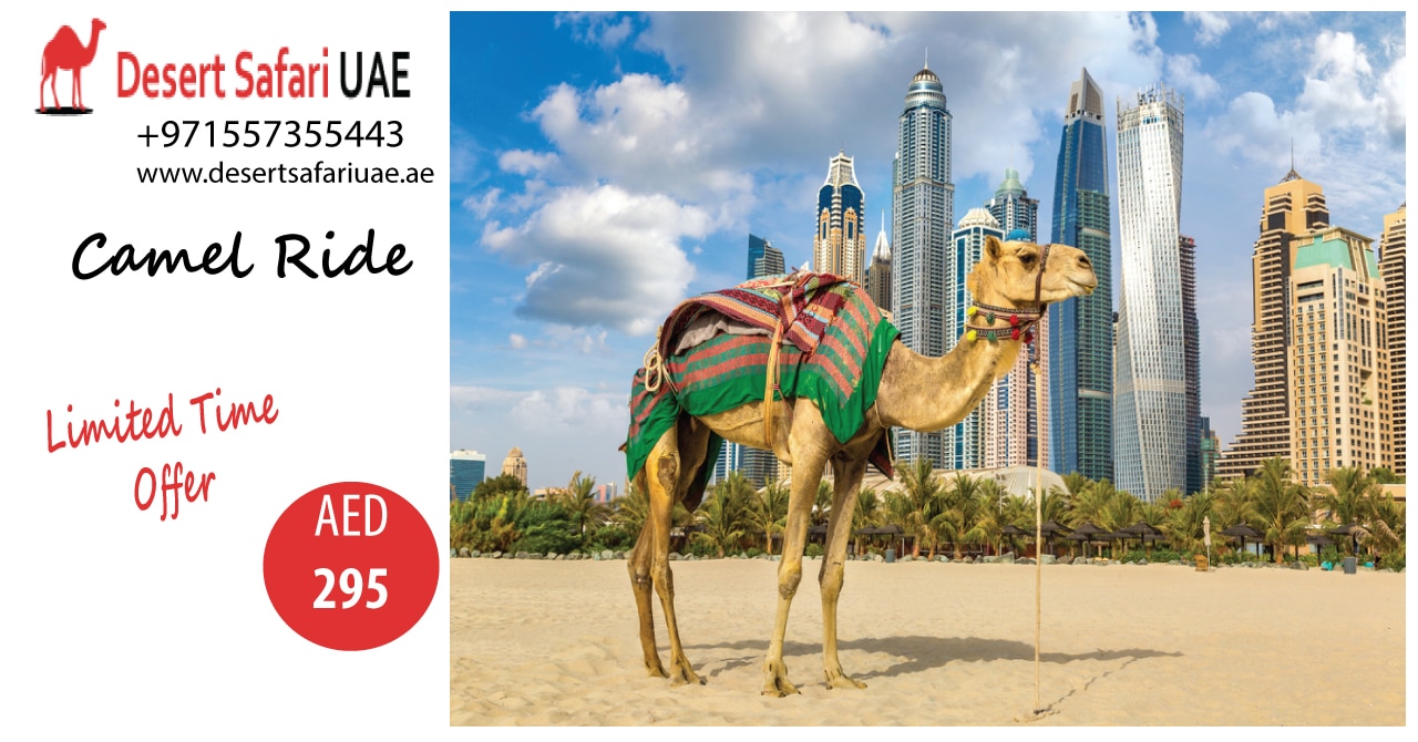 Interesting Packages of Dubai Desert Safari - Desert Safari UAE